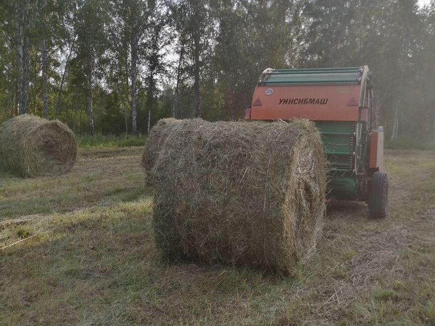 Сено в рулонах
