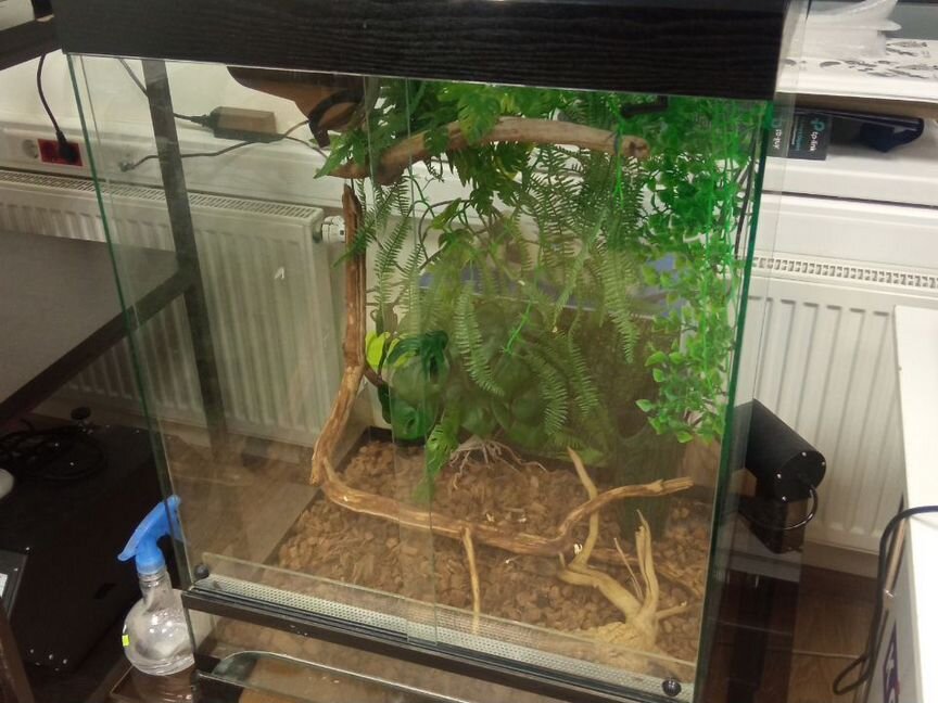 Террариум для рептилий