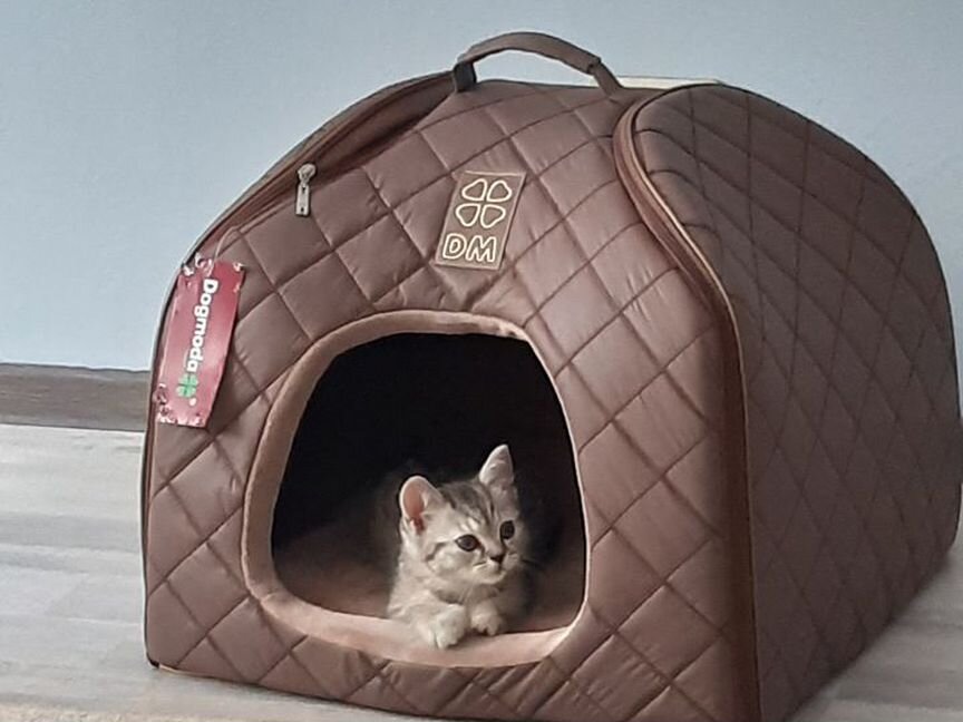 Дом-трансформер для собак Dogmoda Colour Элит