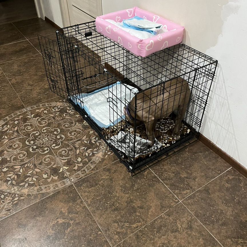 Клетка для собак