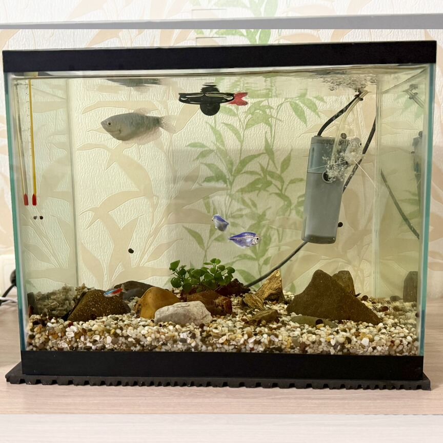 Аквариум 30 л с рыбками
