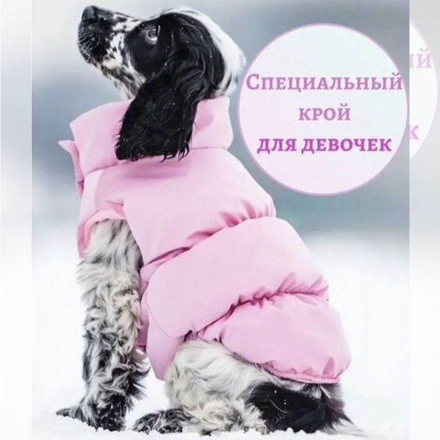 Одежда для маленьких собак L