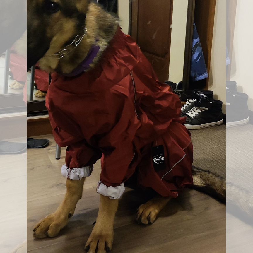 Комбез осенний для собак