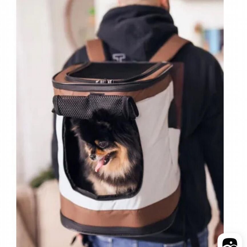 Переноска рюкзак для кошек и собак