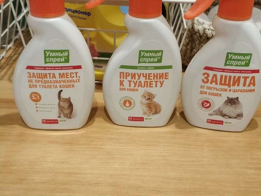 Товары для котят/кошек