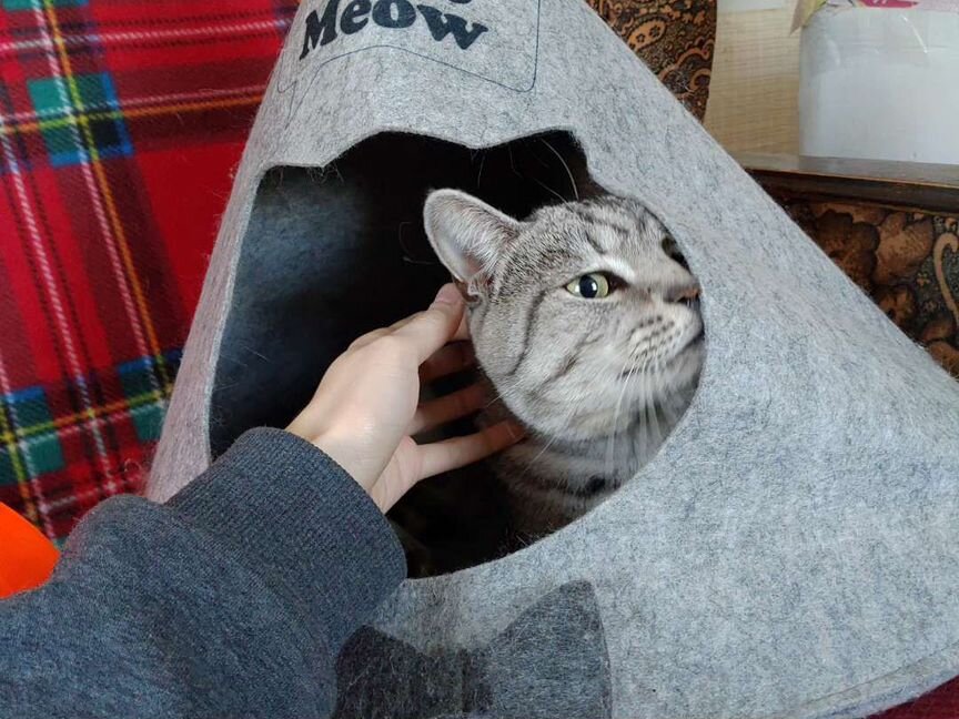 Кошачий домик из войлока