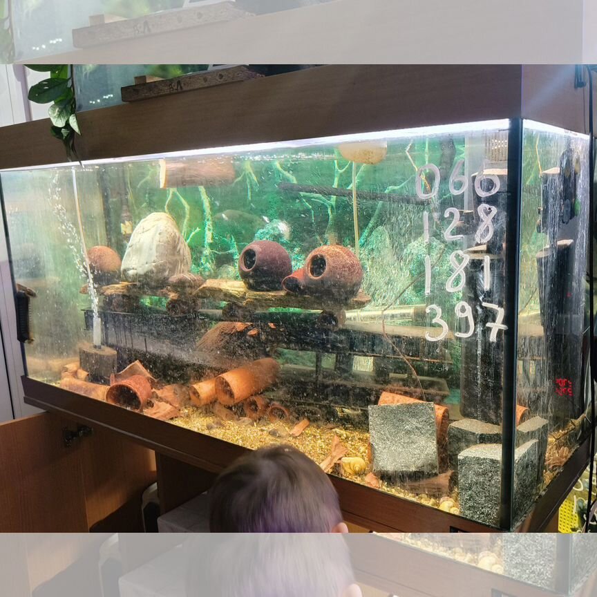 Аквариум juwel rio 300