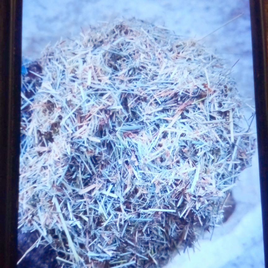 Сена дробленое