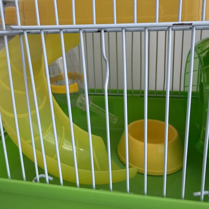 Клетка для джунгарского хомяка