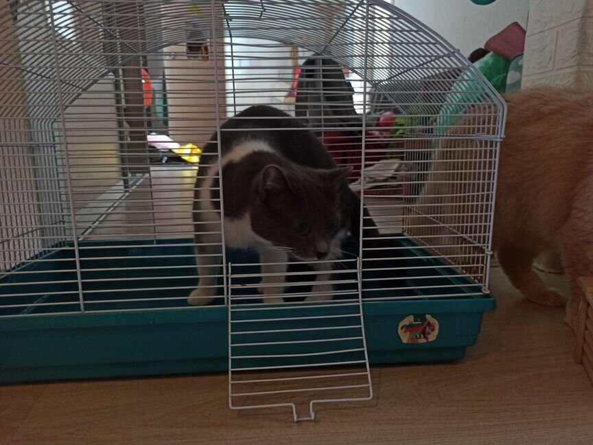 Клетка для грызунов