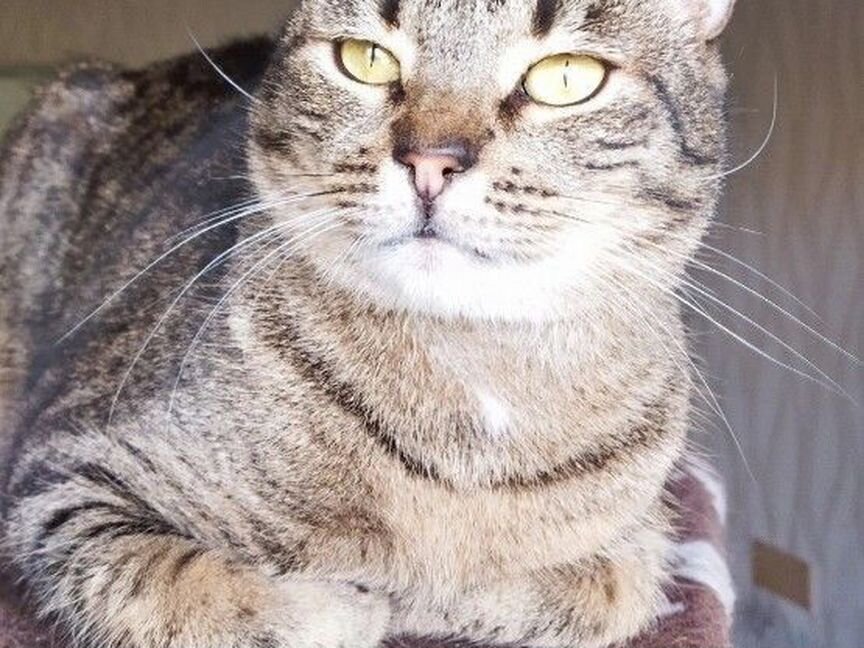 Котик Серега