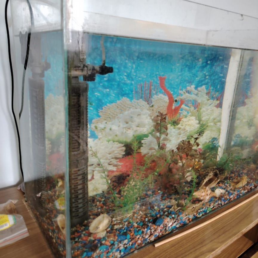Аквариум