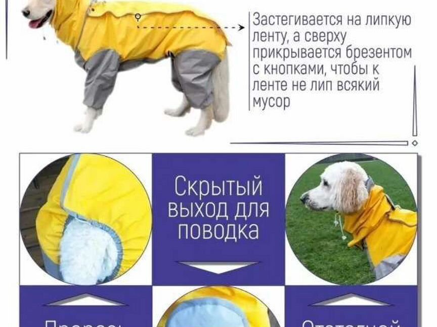 Дождевик для собаки