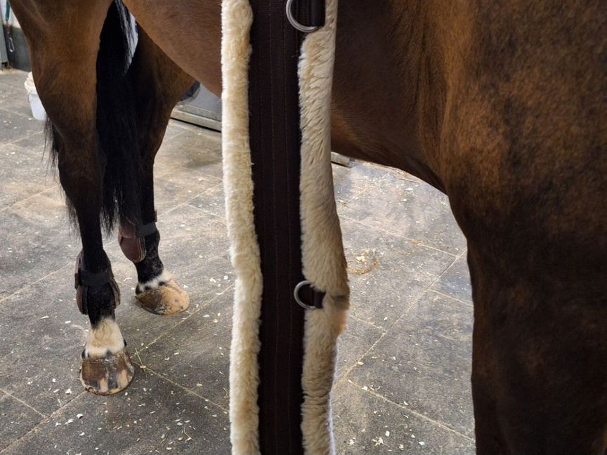Коричневая подпруга с мехом для лошади 120см