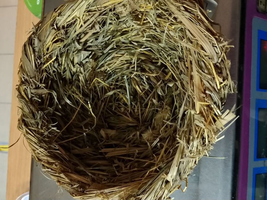 Гнездо для птиц (попугаев)