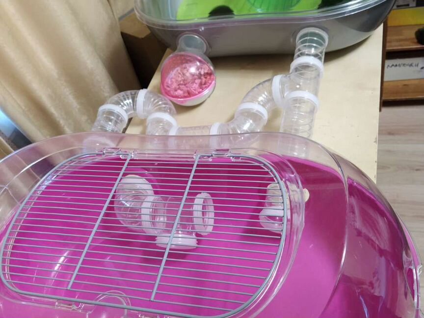 Клетка для карликового хомяка