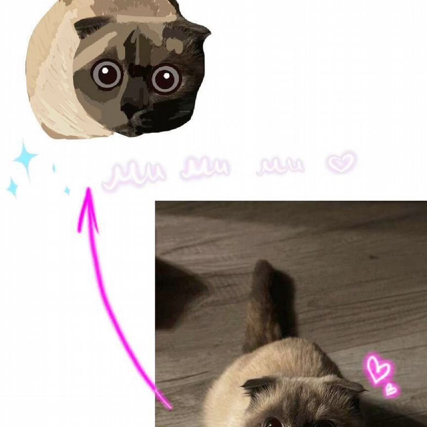 Рисую ваших питомцев