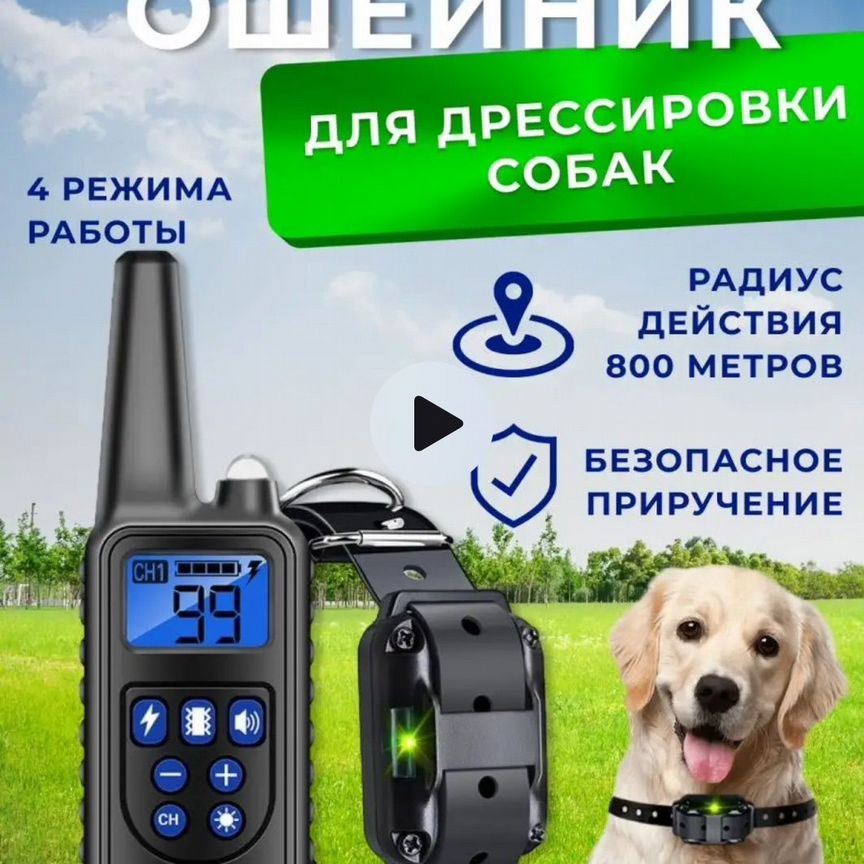 Электронный ошейник для собак