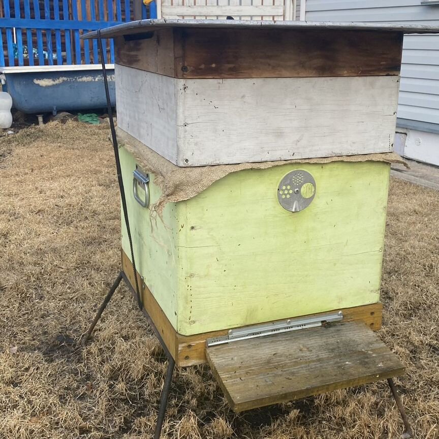 Продам ульи для пчел