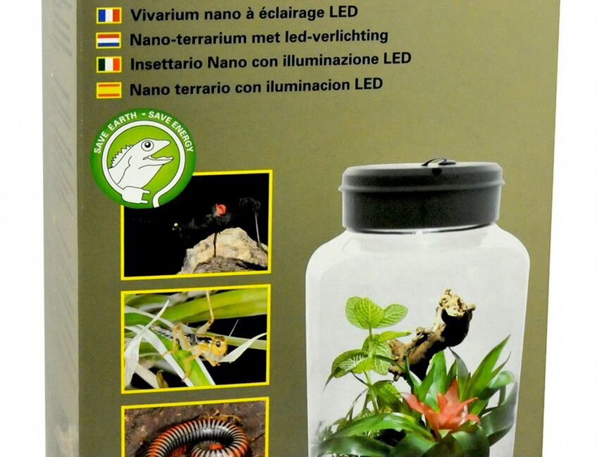 Террариум для насекомых Insect Tarrium 5л