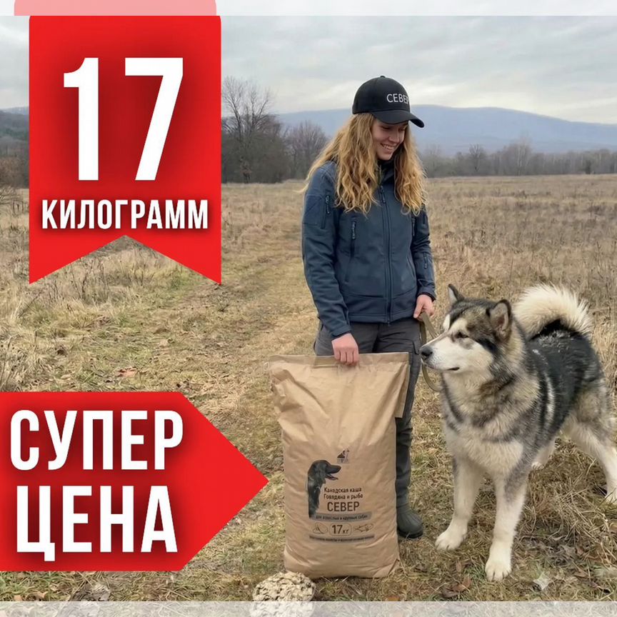 Корм для собак 17кг /Север Стандарт
