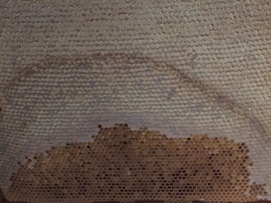 Рамки сушь с медом