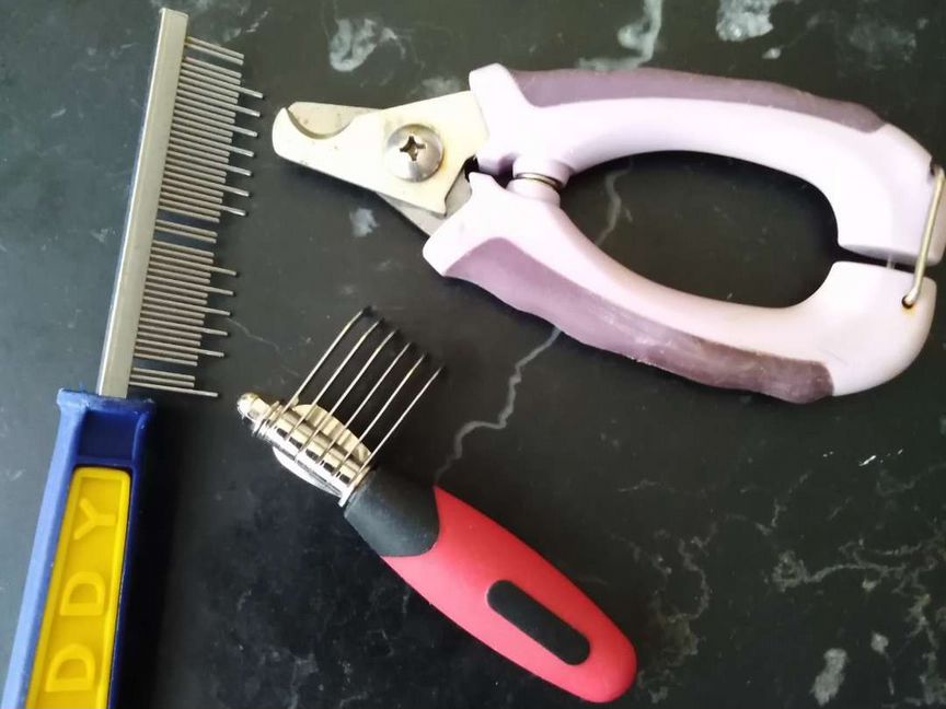 Предметы для ухода за животными