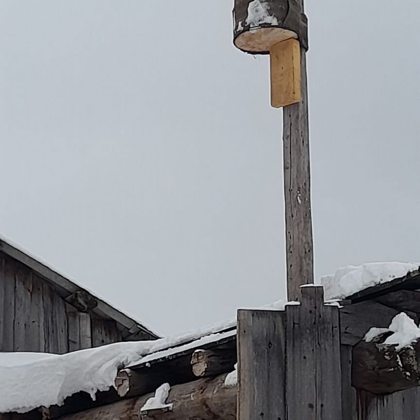 Скворечник дуплянка