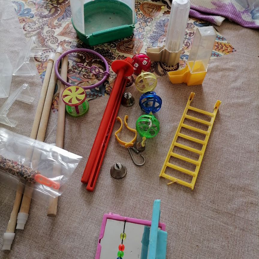 Для попугая