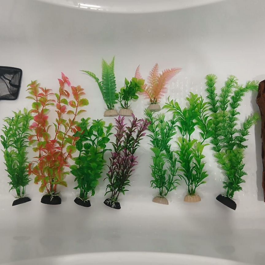 Декор,растения для аквариума