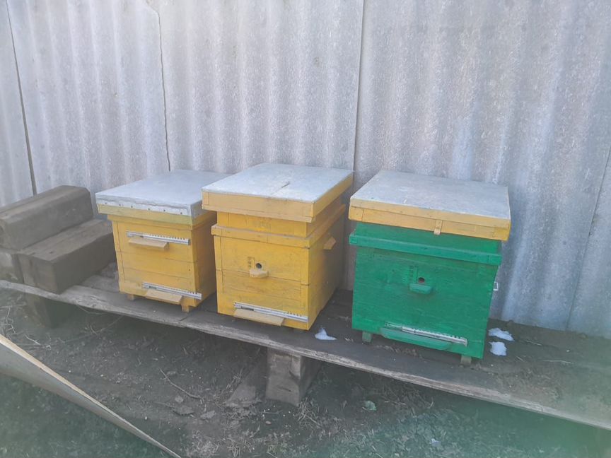 Улики для пчел