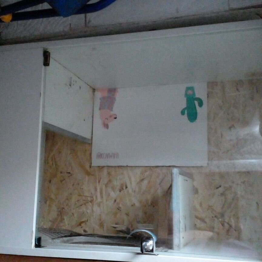 Витрина для грызунов