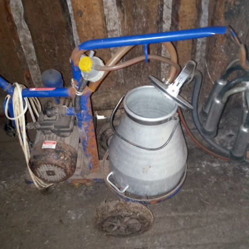 Доильный аппарат для коров бу