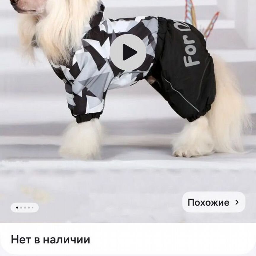 Зимний комбинезон для собаки formydogs