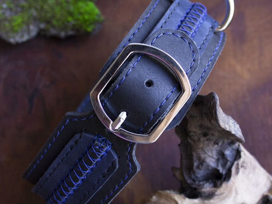 Ошейник для собак