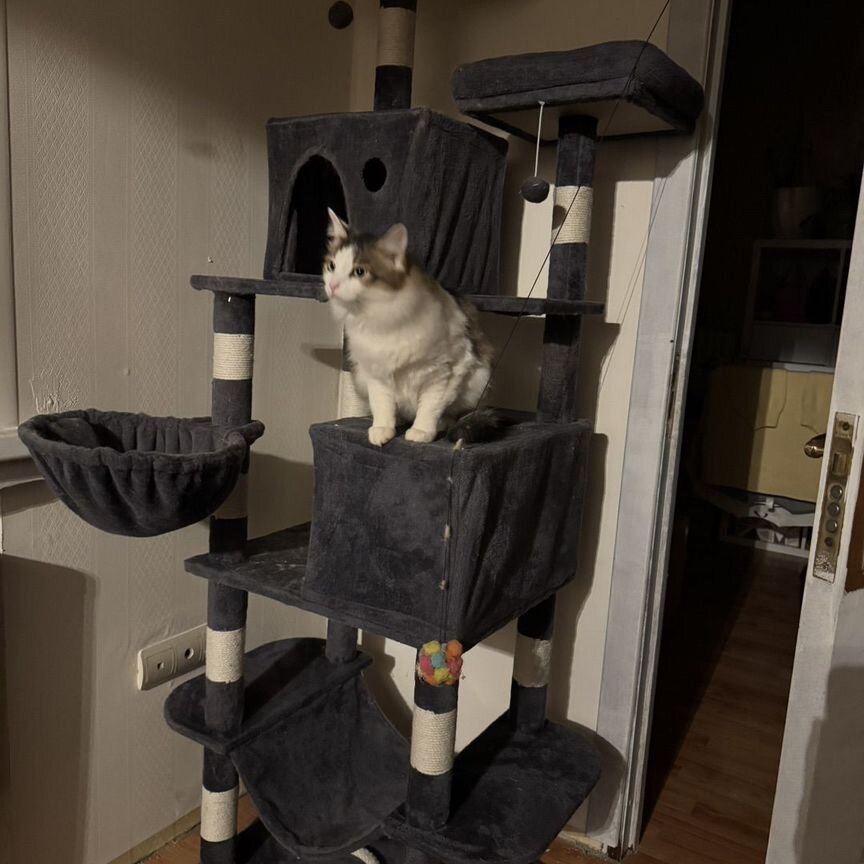 Игровой комплекс для кошек высокий