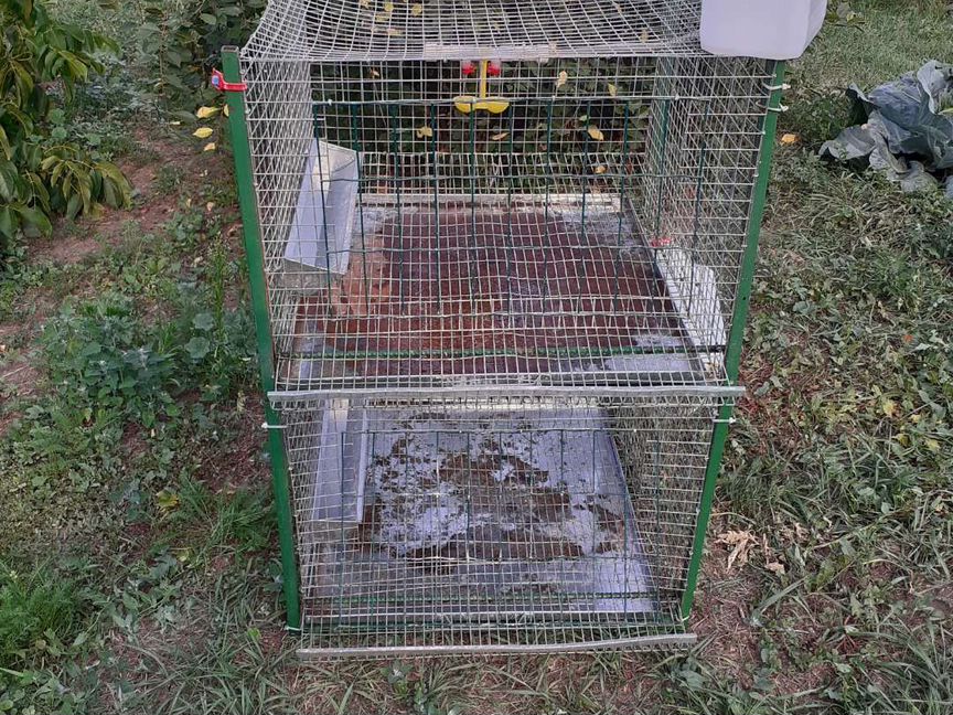 Клетки для кур