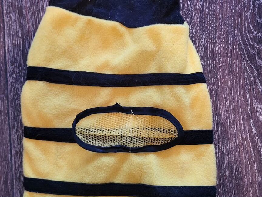 Костюм для кошки пчела