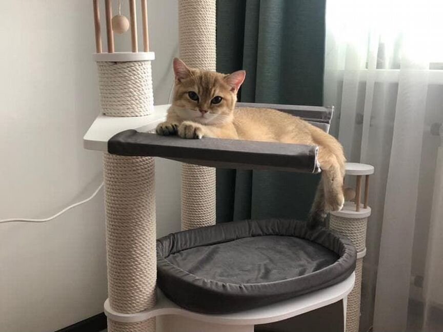 Когтеточка для котов и кошечек