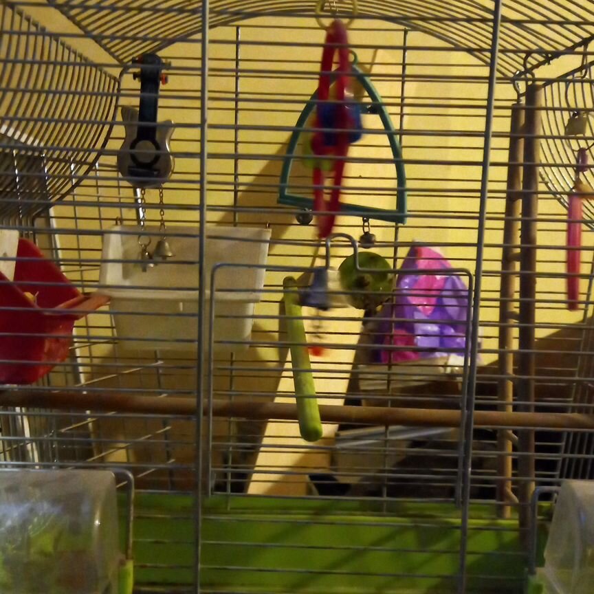Клетка для попугая или других птиц