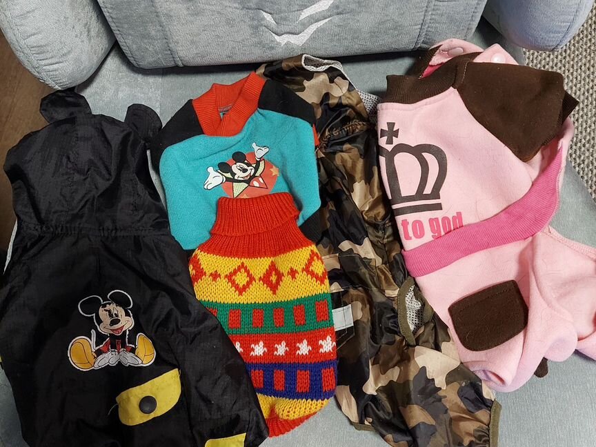 Одежда для собак