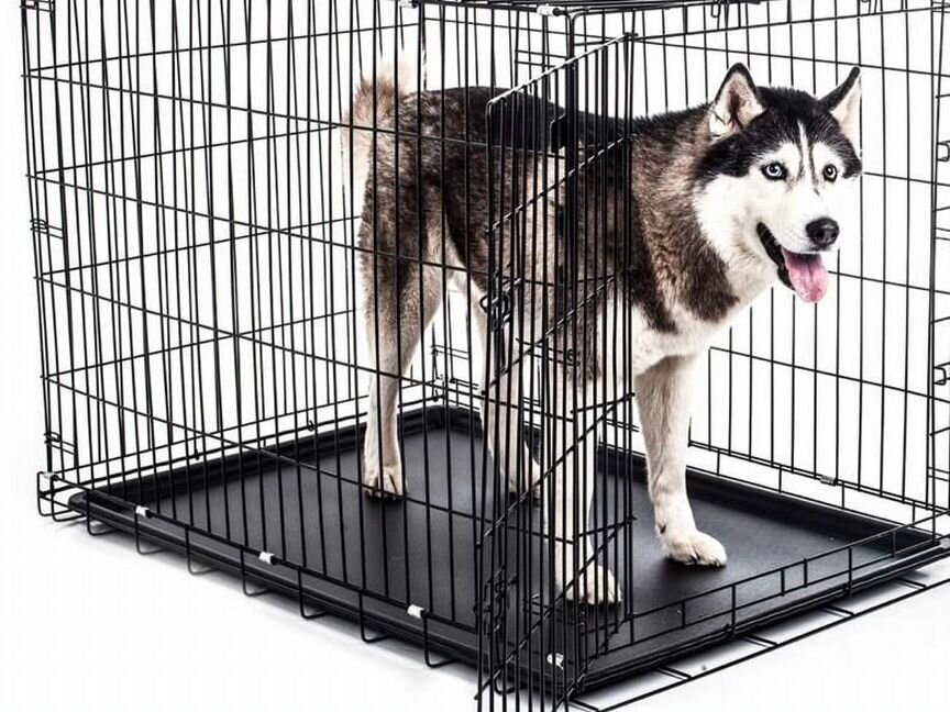 Клетка вольер для собак