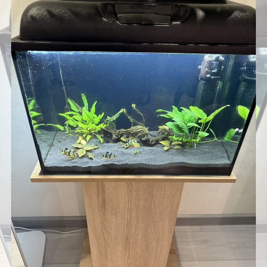 Аквариум 60л с тумбой