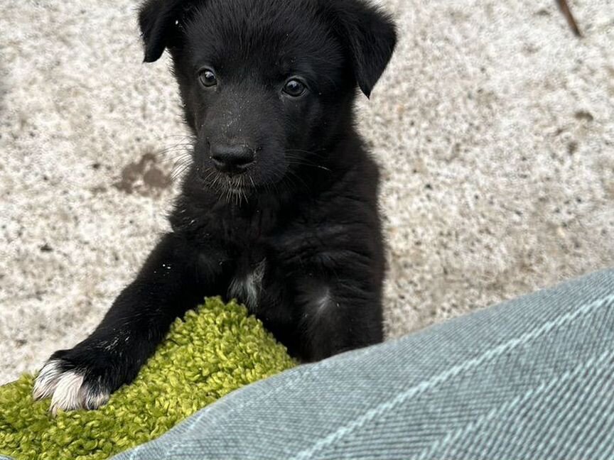 Очень умная девочка