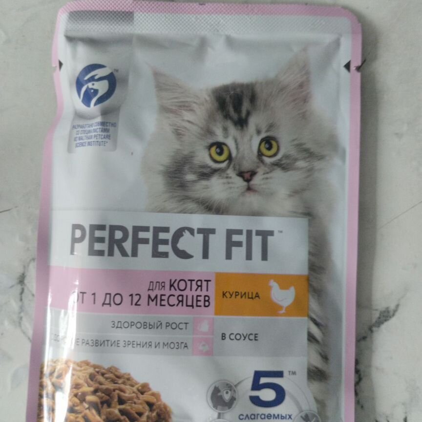 Корм для котят