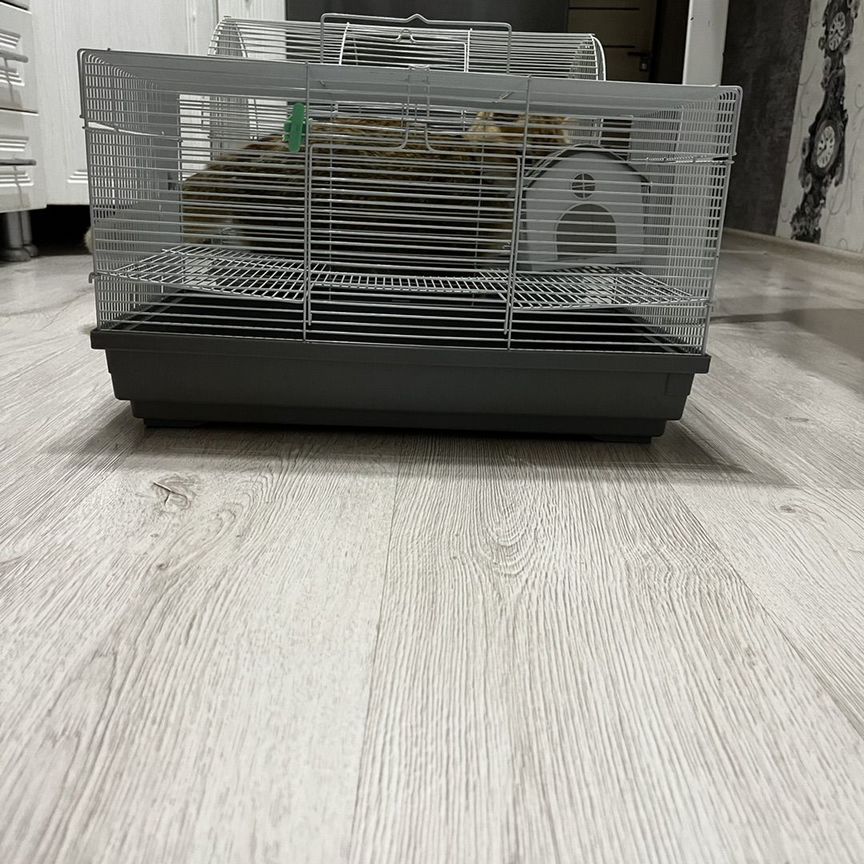 Клетка для грызунов бу