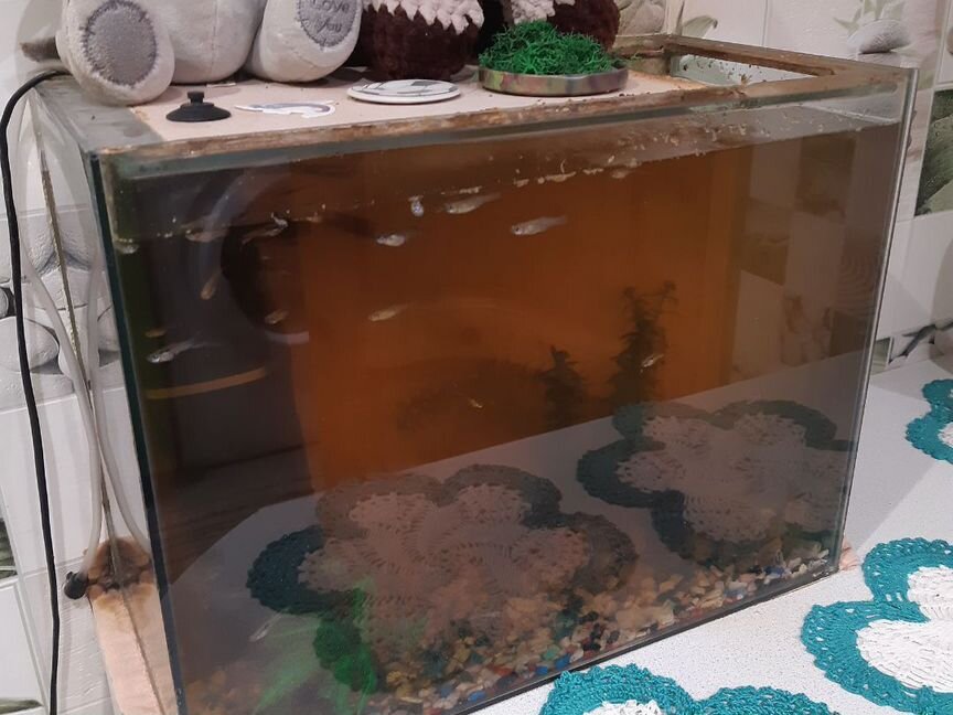 Аквариум 15-20 л