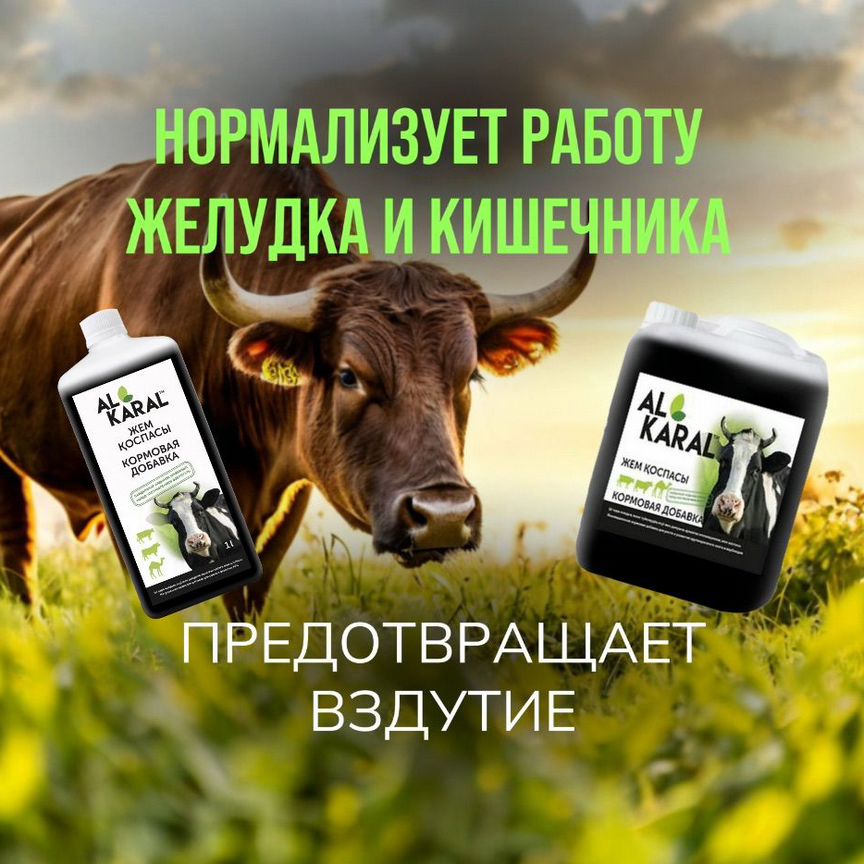 Добавка для быков, сокращает срок откорма