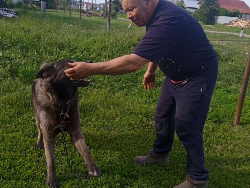 Отдам в добрые руки