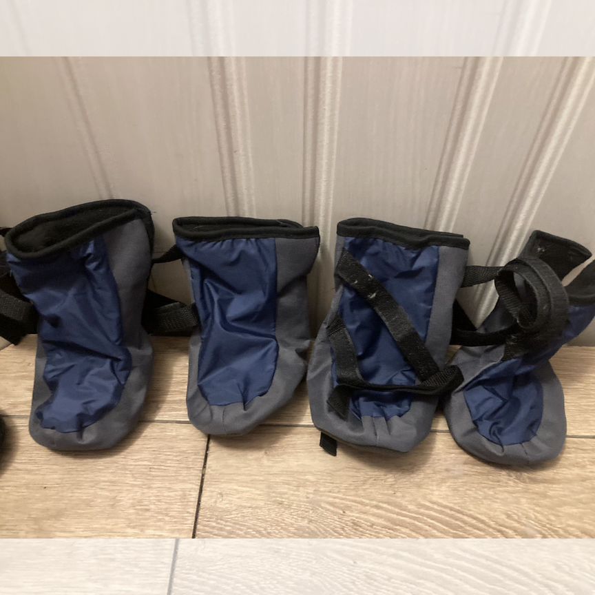 Зимние тапки для собак